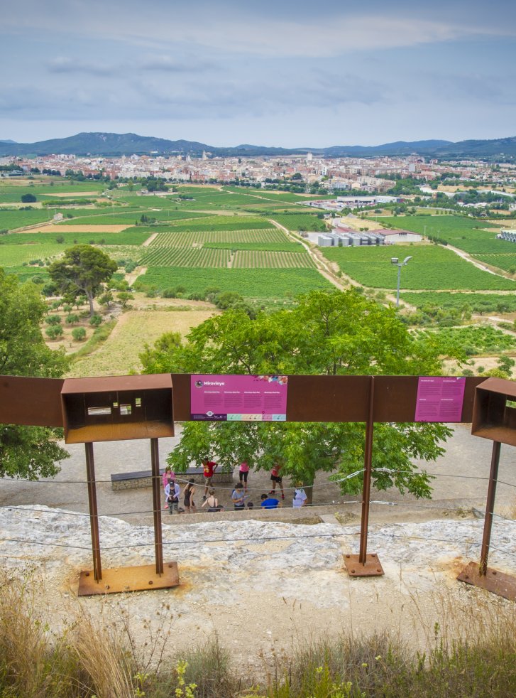 Vilafranca del Penedés | Biosphere Sustainable